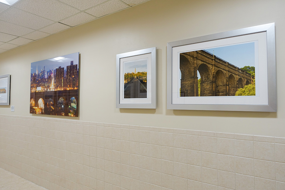 First Solo Exhibit at Montefiore Medical Center | Duane Bailey-Castro ...