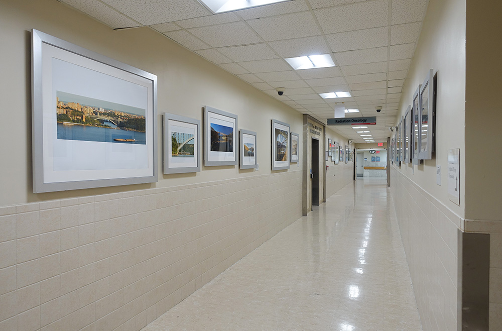 First Solo Exhibit at Montefiore Medical Center | Duane Bailey-Castro ...
